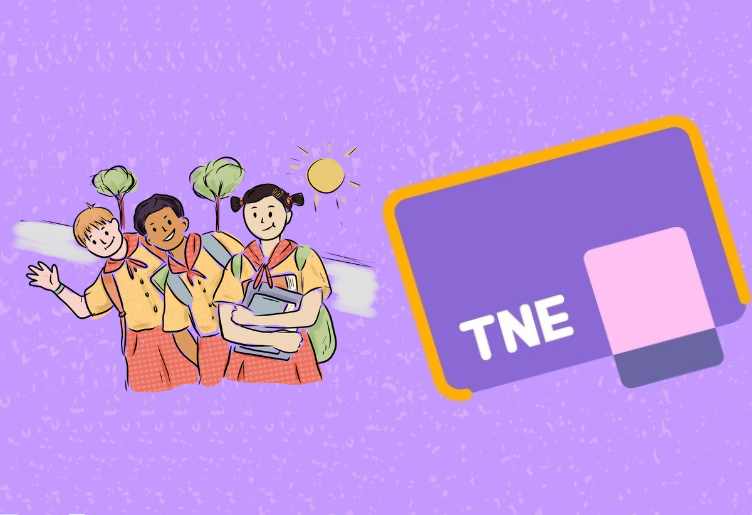 📌Tarjeta TNE (Tarjeta Nacional Estudiantil) 2024 de 5° básico a IV ...